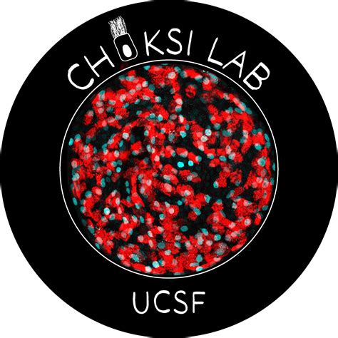 Resources Choksi Lab