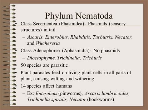 Unit 4 Phylums Platyhelminthes And Nematoda Ppt Download