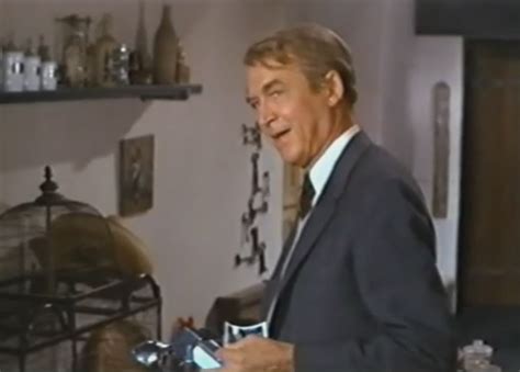 The Blowup Moment Dear Brigitte Henry Koster 1965