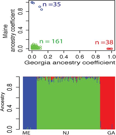 Admixture Analysis On 3 Population 3700 Snp Data Set A Plot Of