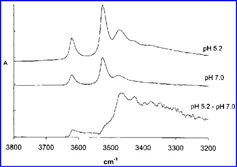 Ftir Spectrum Of Gibbsite Samples At Ph 5 2 And Ph 7 0 As Well As A