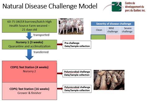 Healthy Interest In Disease Resilience Canadian Hog Journal