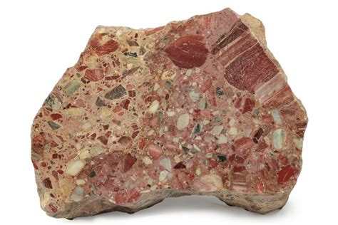 8 5 Polished Chert Breccia Section Western Australia 239892 For Sale