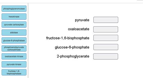 Solved Phosphoglyceromutase Hexokinase Pyruvate Pyruvate