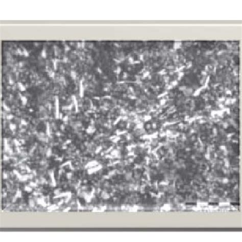Microstructure Of Tin Alloy Used By The Company Download Scientific