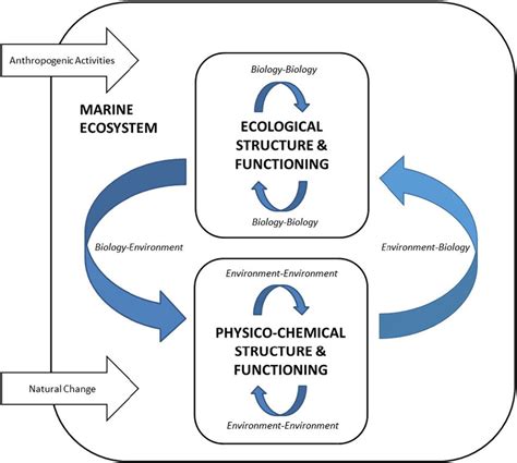 A Conceptual Model Indicating The Linking And Feedback Between Abiotic