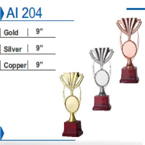 Fibre New Fiber Trofhy Code Ai 204 Size 5 10 Inch At ₹ 46piece In New Delhi