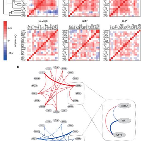 Single Cell Expression Analysis Of Haematopoietic Transcription Factors