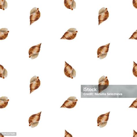 조개껍데기가 있는 수채화 이음매 없는 패턴 손으로 그림을 그리는 클립아트 수중 생물은 흰색의 고립된 배경에 있다 디자이너 장식 엽서 포장지 스크랩북 표지 초대장 웨딩 디자인