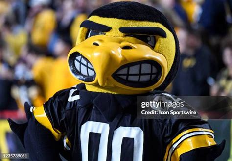 Iowa Hawkeye Images Photos And Premium High Res Pictures Getty Images