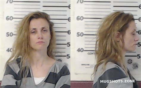 Hefley Bailey Marie 11 08 2021 Henderson County Mugshots Zone