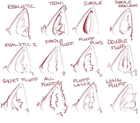 How To Draw A Cats Ears