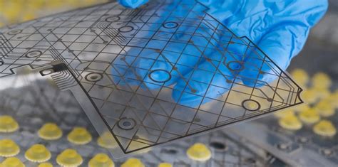 The Rise Of Biodegradable Electronics A Sustainable Future My Deep