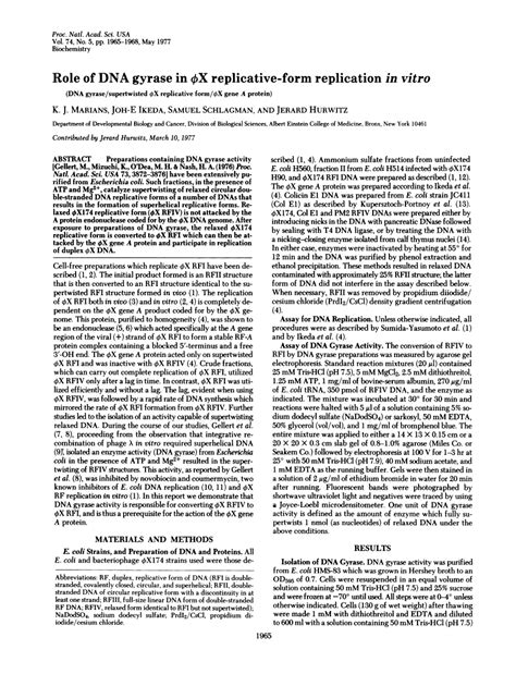 Role Of Dna Gyrase In Phix Replicative Form Replication In Vitro