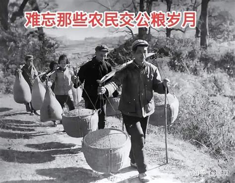 农民交的公粮、农业税，能否视为交社保？终于有专家为农民发声了 知乎