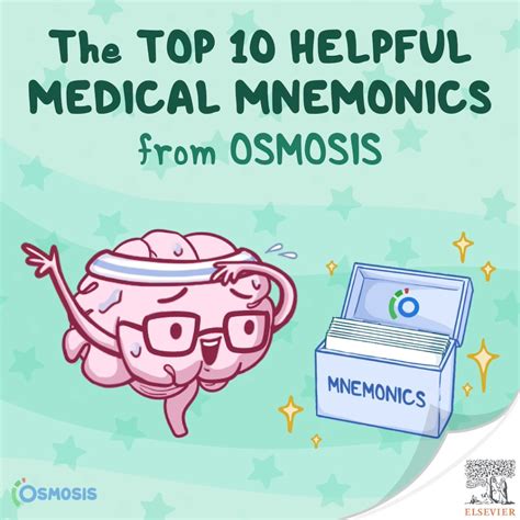Educators Archives Osmosis Blog