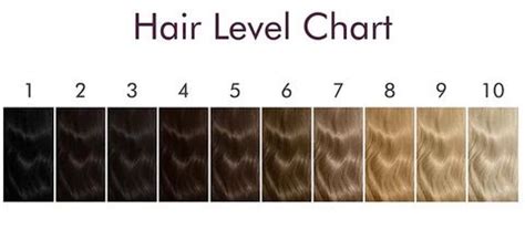 Hair Level Chart 480x480 Webp 480×210 Блестящие волосы Цвет