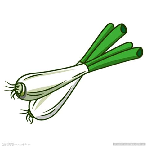 香葱插画 白色 卡通绿色 花瓣网