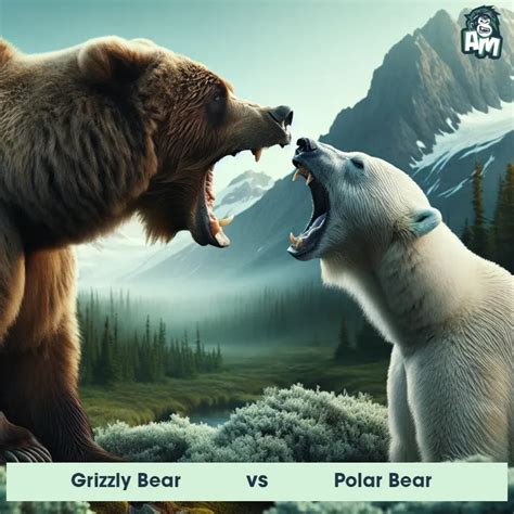 Grizzly Bear Vs Polar Bear