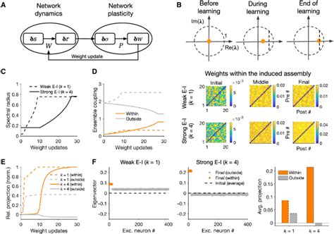 growth of ensembles in networks with recurrent interaction of dynamics