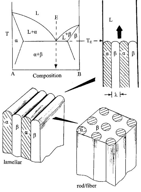 Eutectic Phase Diagram Left And Associated Unidirectional Eutectic Download Scientific