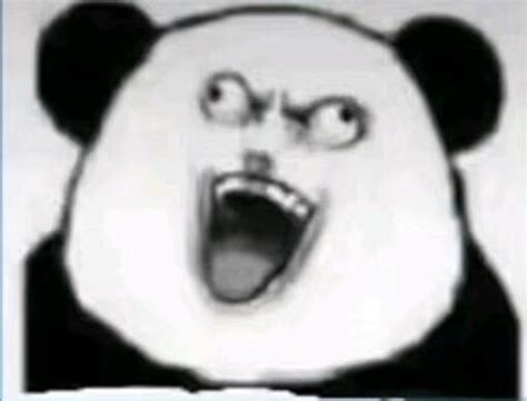 熊猫头 表情包 沙雕表情包 边嗲嗲上传 侵删