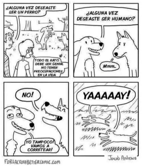 Los Últimos Memes Memedroid