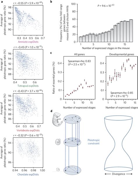Temporally Pleiotropic Genes Tend To Be Evolutionarily Conserved And Download Scientific
