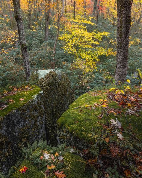 Jack Kearney Jack Kearney Added A New Photo — In