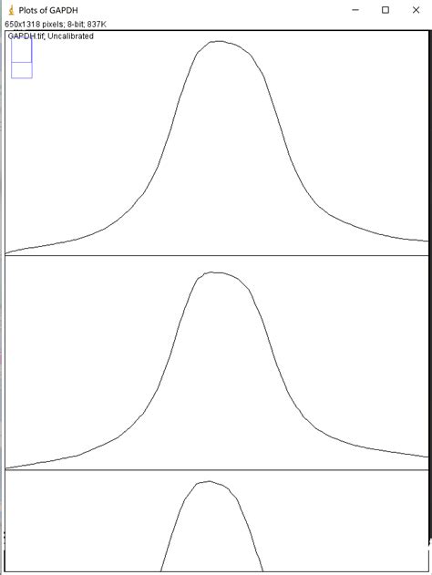 怎么应用 Imagej 测量 Western Blot（wb）条带灰度值？ 实验步骤、操作方法 丁香实验
