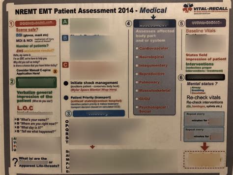 Patient Assessment Flow Sheet Diagram Quizlet