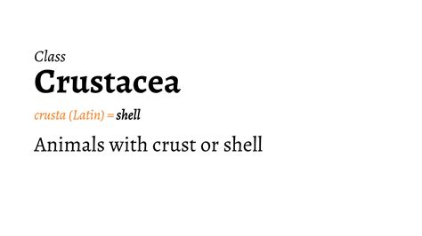 Solution Subphylum Mandibulata Zoology Studypool