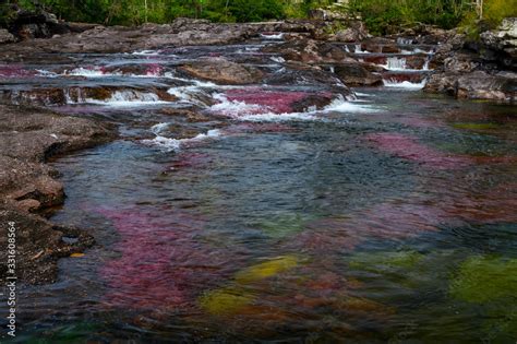The Rainbow River Or Five Colors River Is In Colombia One Of The Most