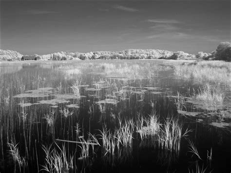 Infrared Photography Perfect Way To See Behind The Visible