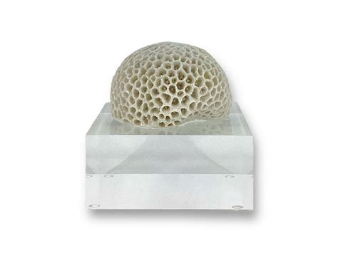 Custom Clear Acrylic Display Base Custom Acrylic Fabrication