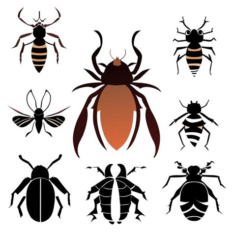 Premium Vector Vector Collection Of Microscopic Insect Graphics