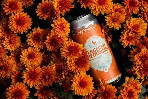 The 9 Best Breweries In Rhode Island • Hop Culture