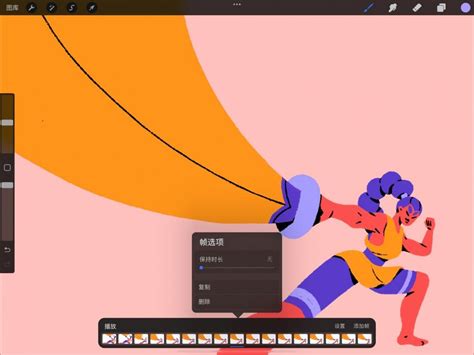 选项 — Procreate 使用手册