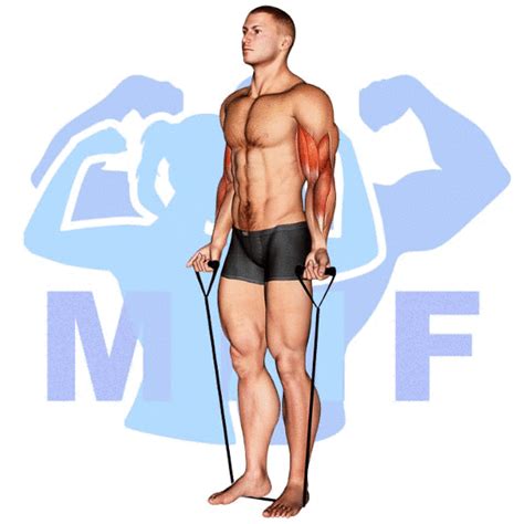 Reverse Crunches Quick Exercise Tutorial With Must Do Tips