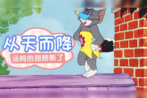 猫和老鼠：可怜的汤姆翅膀断掉了，直接从天上掉了下来汤姆翅膀