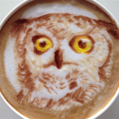 My Owl Barn Owl Latte Art Collection