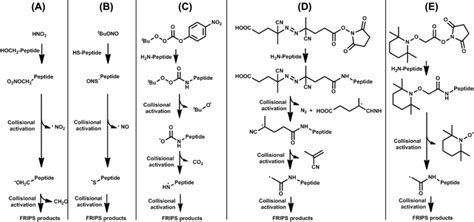 Derivatization Of Peptide And Formation Of The Relevant Open‐shell Ions