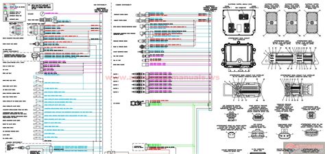 Cummins Isc Engine Wiring Diagram Cummins Diagram Wiring Ecm