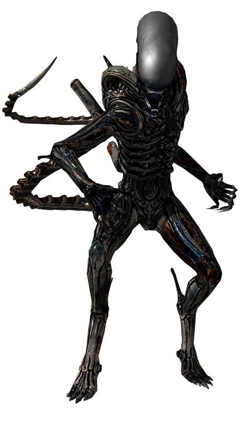 Xenomorphe Png