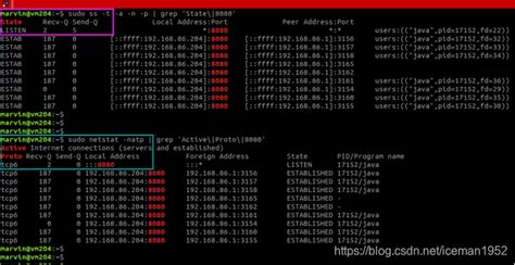 netstat 和 ss中，recv q和send q的含义 netstat recv q csdn博客