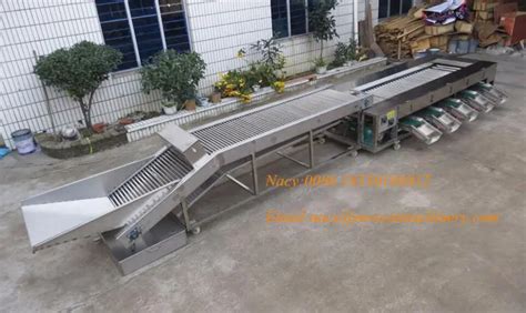 Cherry Tomato Sorting Machine Lychee Sorting Machine Drum Fruit Grading Machine Products From