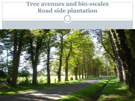 Design Alternatives Landscape Integration 1ppsx