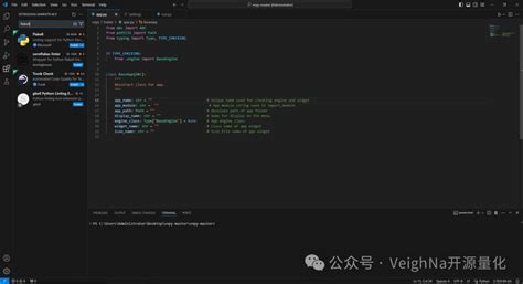 喜欢vscode的同学，请收好这份开发指南！ 主题 Veighna量化社区