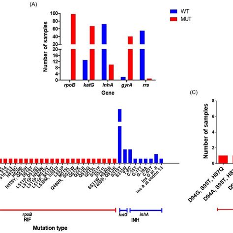 Classification Of Sputum Samples A Wtmut Mixed Infection Category B