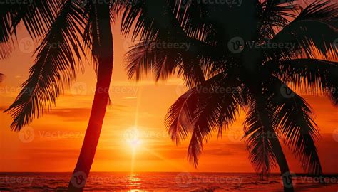 Palm Tree Sunset Wallpaper Most Popular Los Angeles Palm Trees